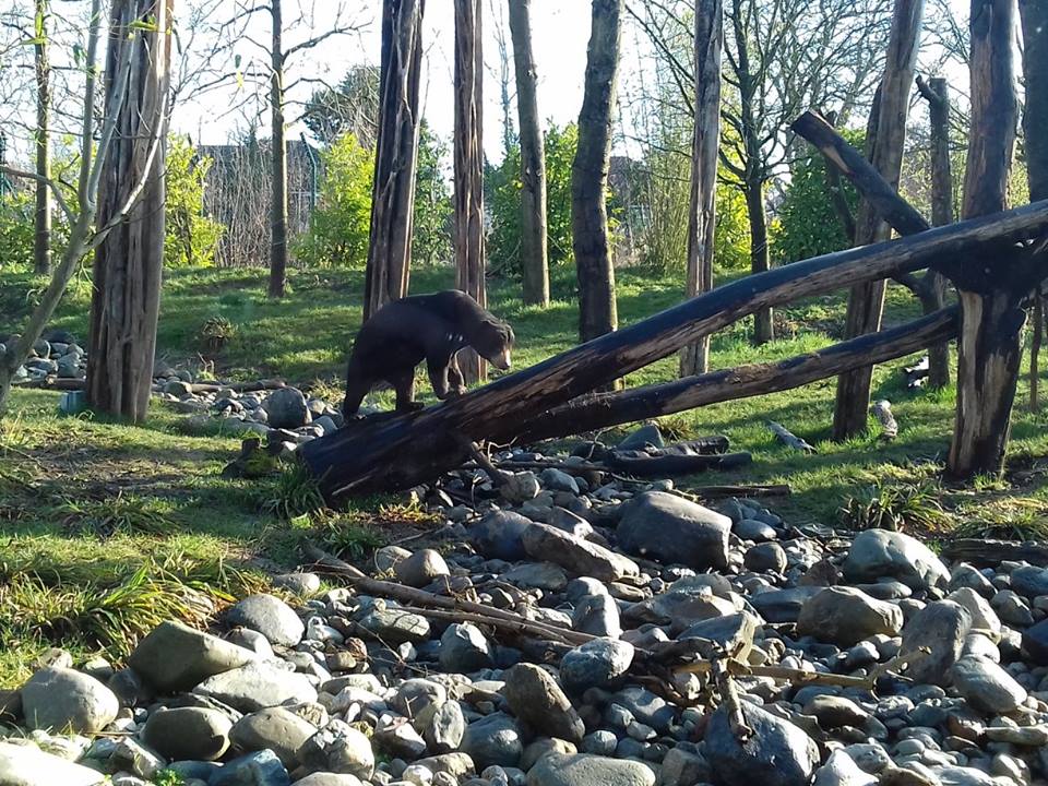 Chester Zoo – Your Own Set of Wings