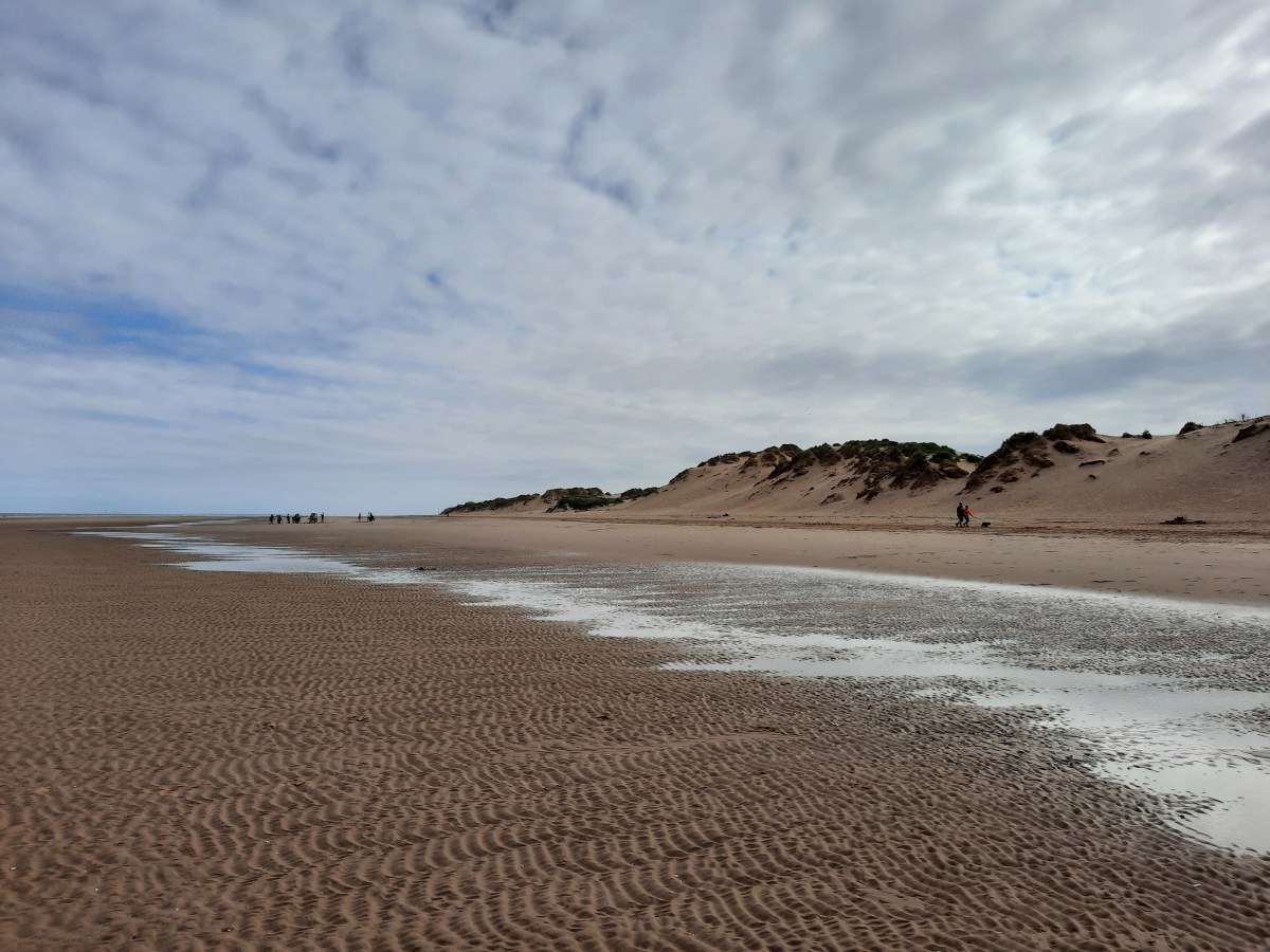 Formby Beach and Nature Reserve – Your Own Set of Wings